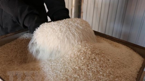 Winners of Vietnamese rice contest announced