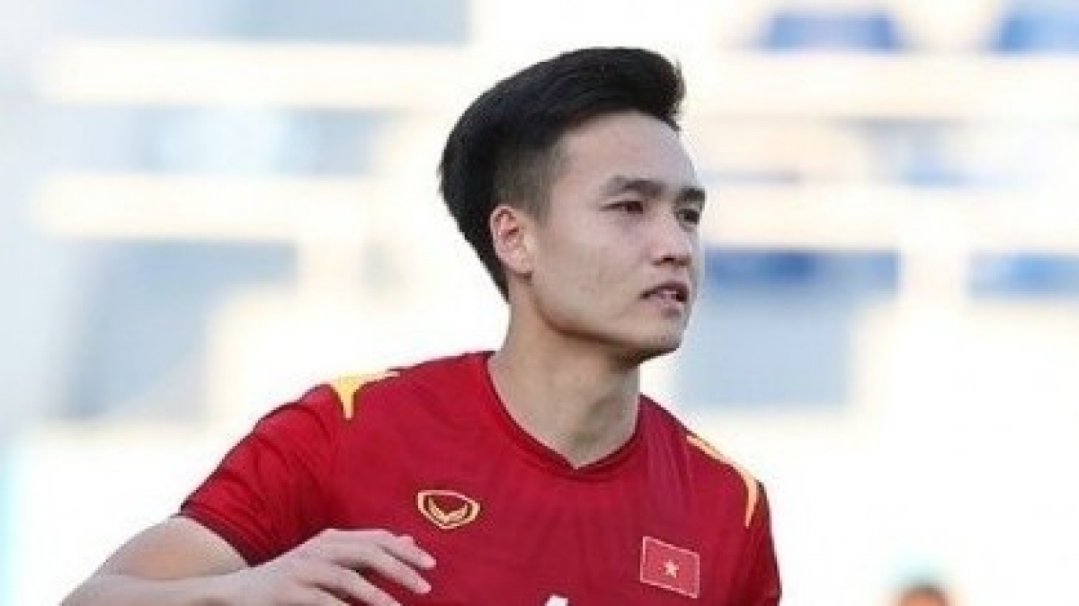 Tiểu sử Bùi Hoàng Việt Anh