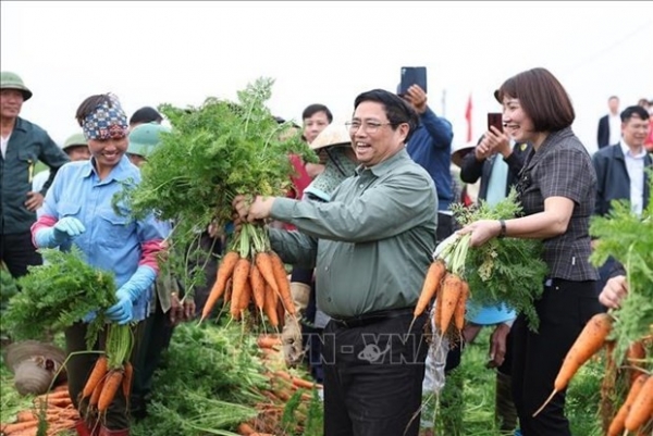 Prime Minister visits agricultural production models of Hai Duong