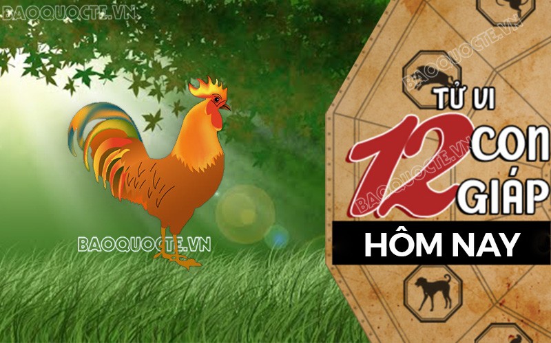 Tử vi hôm nay, xem tử vi 12 con giáp hôm nay ngày 29/6/2025: Tuổi Dậu sự nghiệp nhiều thành tích