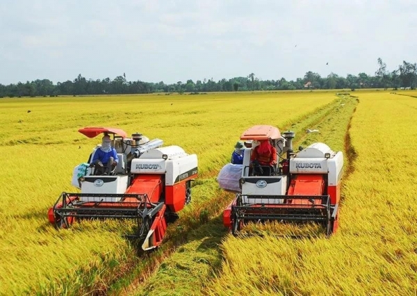 A million ha of high-quality, low-emission rice with green growth in ...
