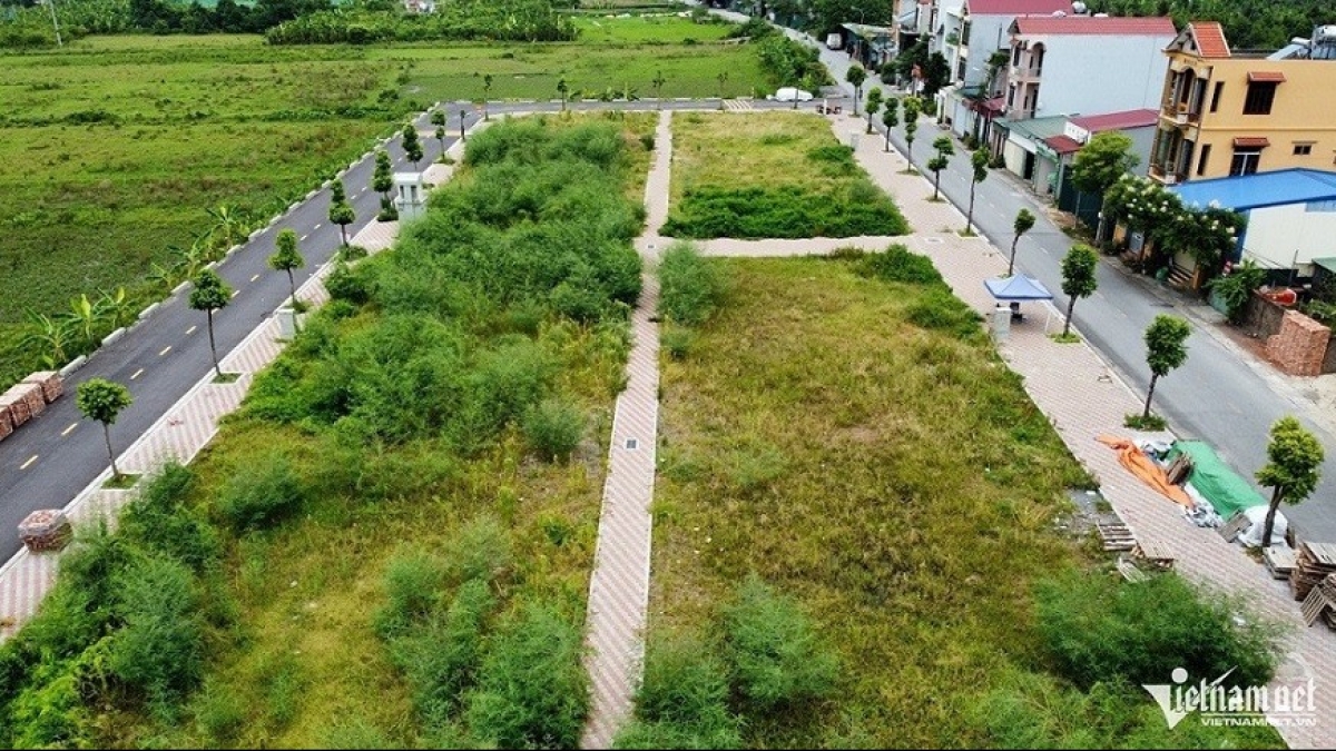 Bất động sản: ‘Nhiệt thị trường’ 2025 sẽ tỏa dần đều, nhận định phân ...